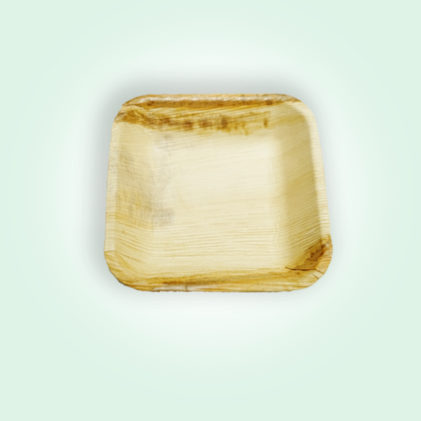 Get Premium Areca Leaf Plates - Shop Eco-Friendly Tableware